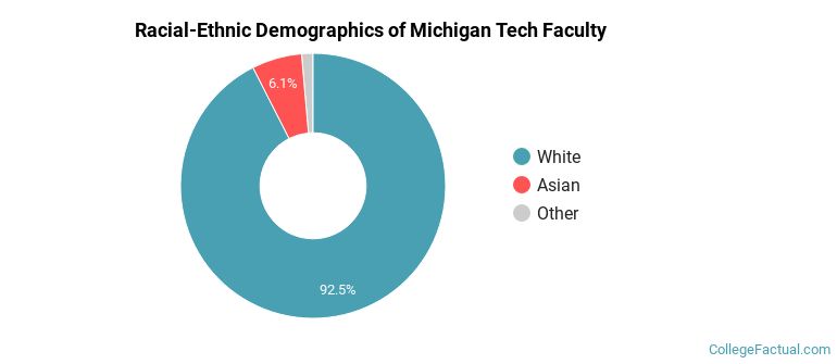 Michigan Technological University Diversity: Racial Demographics ...