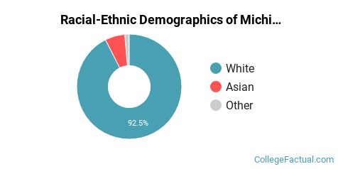 Michigan Technological University Diversity: Racial Demographics ...