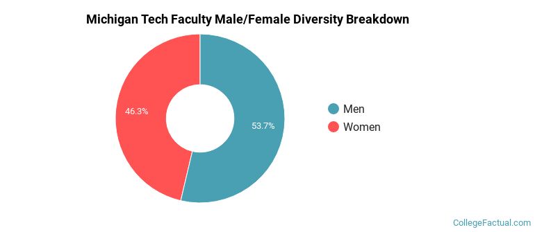 Michigan Technological University Diversity: Racial Demographics ...