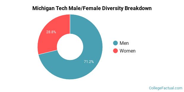 Michigan Technological University Diversity: Racial Demographics ...
