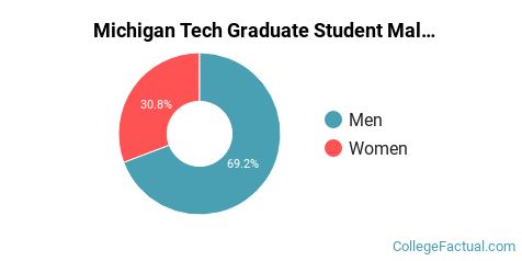 Michigan Technological University Diversity: Racial Demographics ...