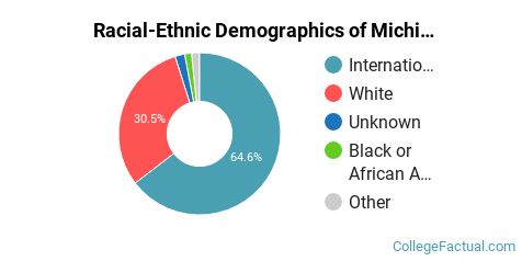 Michigan Technological University Diversity: Racial Demographics ...