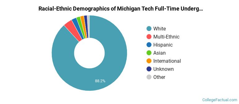 Michigan Technological University Diversity: Racial Demographics ...