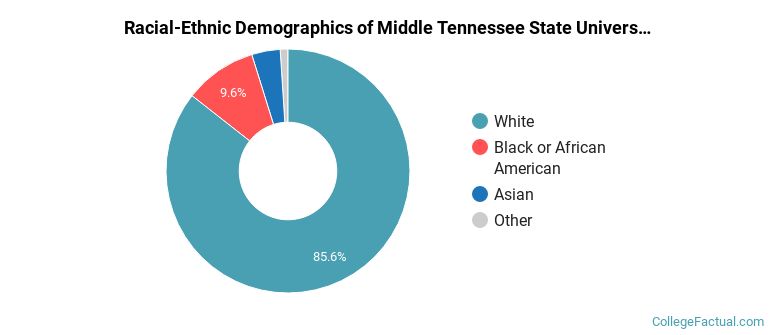 Middle Tennessee State University Diversity: Racial Demographics ...