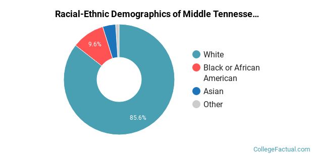 Middle Tennessee State University Diversity: Racial Demographics ...