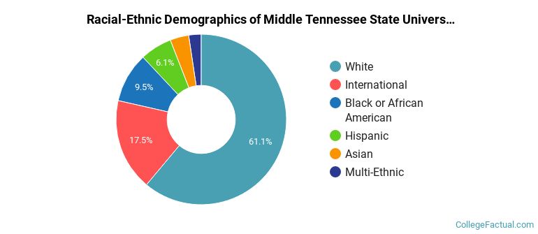 Middle Tennessee State University Diversity: Racial Demographics ...