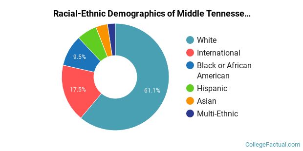 Middle Tennessee State University Diversity: Racial Demographics ...