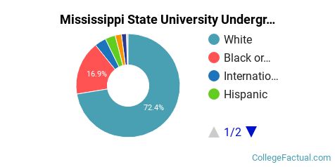 Mississippi State University Diversity: Racial Demographics & Other Stats