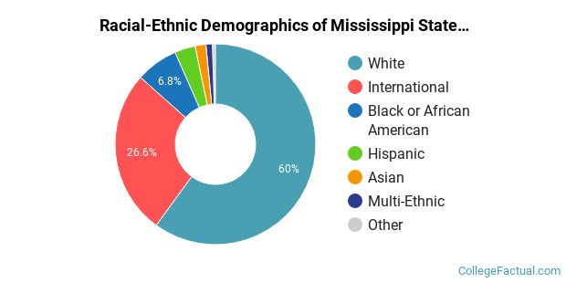 Mississippi State University Diversity: Racial Demographics & Other Stats