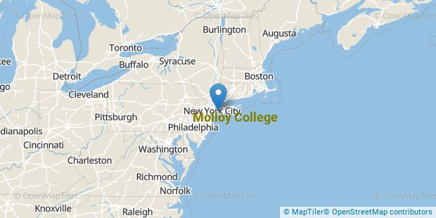 Molloy College Overview