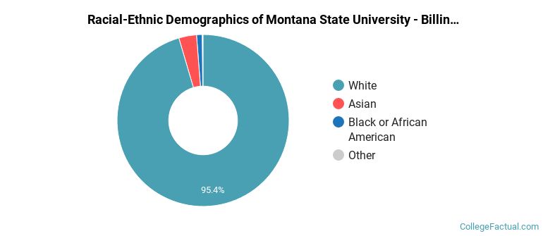 Montana State University - Billings Diversity: Racial Demographics ...