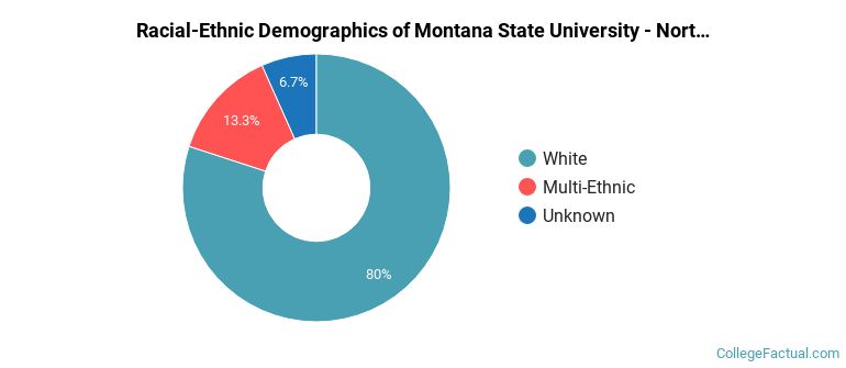 Montana State University - Northern Diversity: Racial Demographics ...