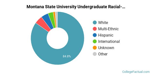 Montana State University Diversity: Racial Demographics & Other Stats