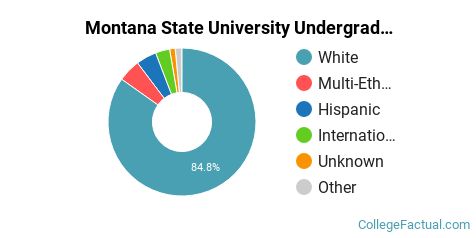 Montana State University Diversity: Racial Demographics & Other Stats
