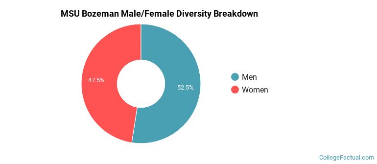 Montana State University Diversity: Racial Demographics & Other Stats