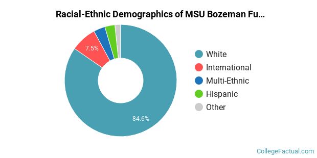 Montana State University Diversity: Racial Demographics & Other Stats