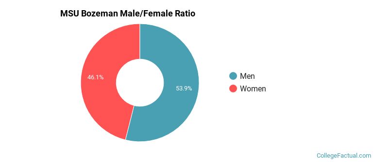 Montana State University Diversity: Racial Demographics & Other Stats