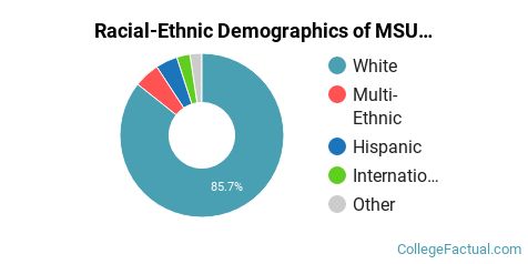 Montana State University Diversity: Racial Demographics & Other Stats