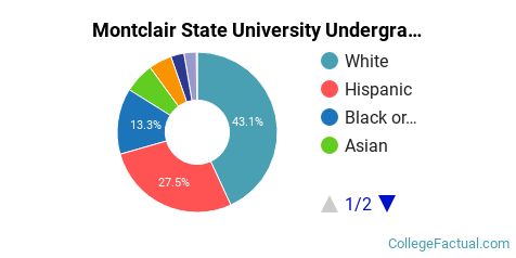 Montclair State University Diversity: Racial Demographics & Other Stats