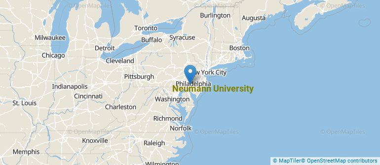 Neumann University Overview