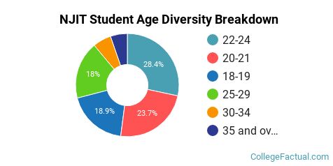 New Jersey Institute of Technology Diversity: Racial Demographics ...