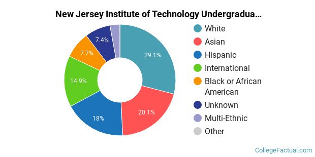New Jersey Institute of Technology Diversity: Racial Demographics ...