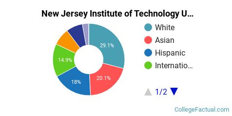 New Jersey Institute of Technology Diversity: Racial Demographics ...