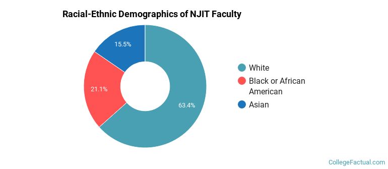 New Jersey Institute of Technology Diversity: Racial Demographics ...