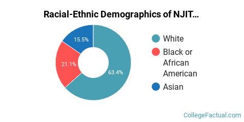 New Jersey Institute of Technology Diversity: Racial Demographics ...