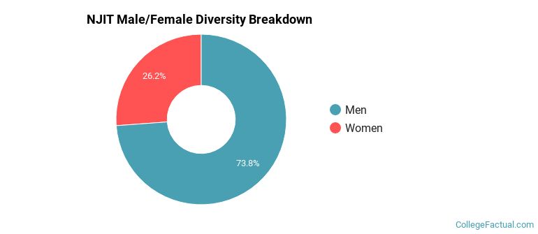New Jersey Institute of Technology Diversity: Racial Demographics ...