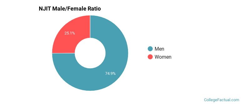 New Jersey Institute of Technology Diversity: Racial Demographics ...