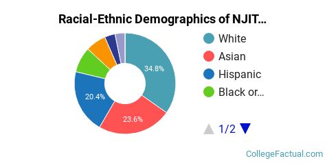 New Jersey Institute of Technology Diversity: Racial Demographics ...