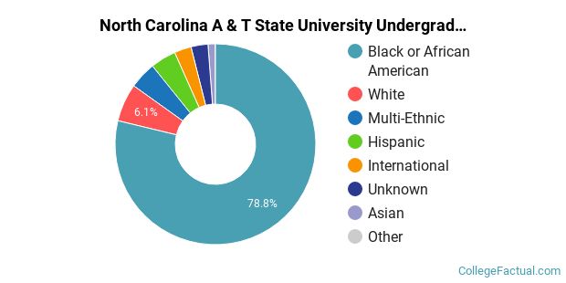 North Carolina A & T State University Diversity: Racial Demographics ...