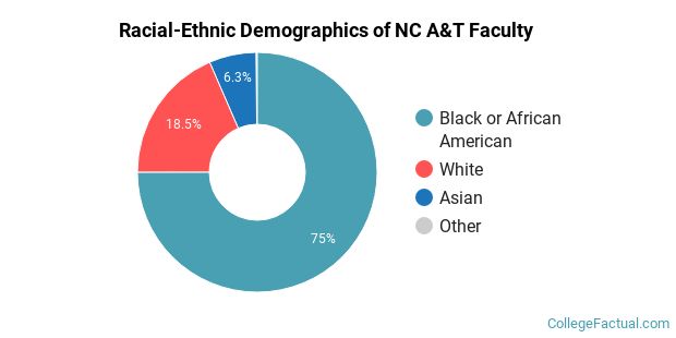 North Carolina A & T State University Diversity: Racial Demographics ...