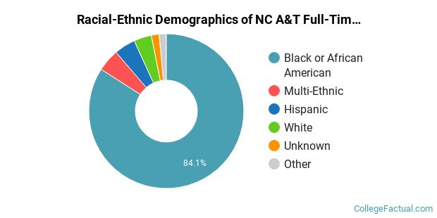 North Carolina A & T State University Diversity: Racial Demographics ...