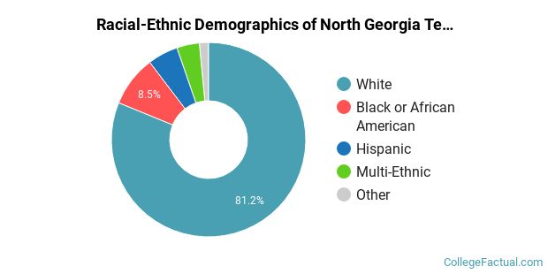 North Georgia Technical College Diversity: Racial Demographics & Other ...