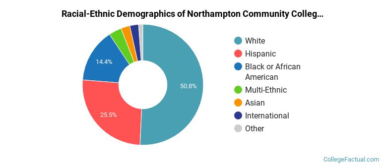 Northampton County Area Community College Diversity: Racial ...