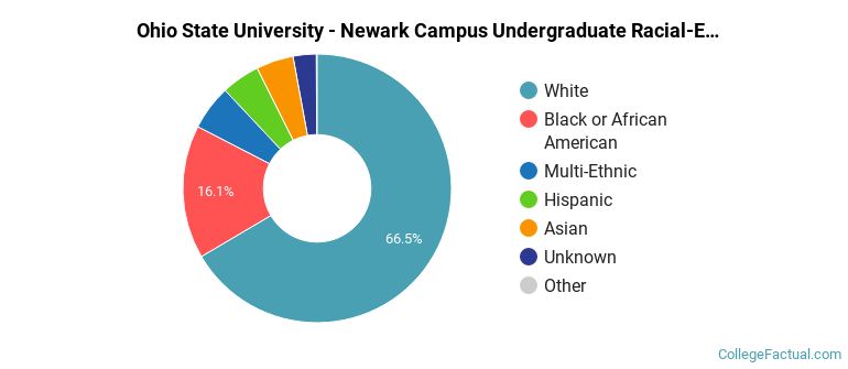 Ohio State University - Newark Campus Diversity: Racial Demographics ...