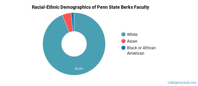 Pennsylvania State University - Berks Diversity: Racial Demographics ...