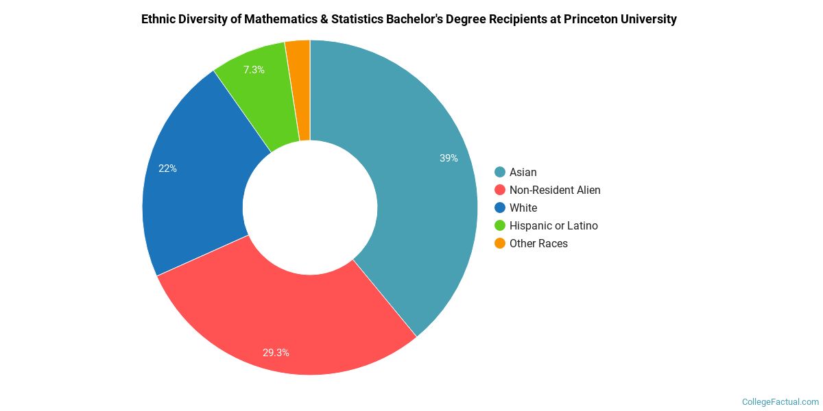 The Mathematics & Statistics Major at Princeton University