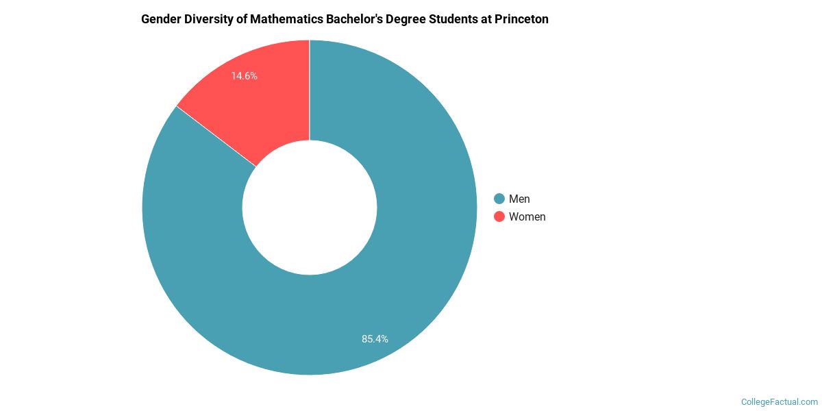 The Math Major at Princeton University