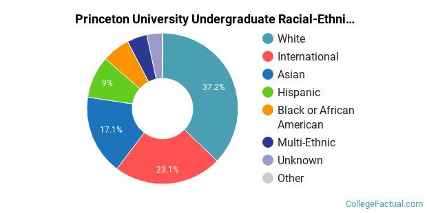 Princeton University Diversity: Racial Demographics & Other Stats