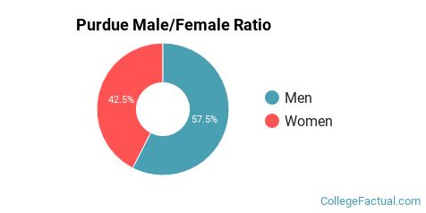 Purdue University - Main Campus Diversity: Racial Demographics & Other ...