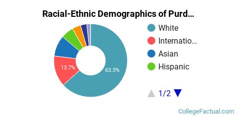 Purdue University - Main Campus Diversity: Racial Demographics & Other ...