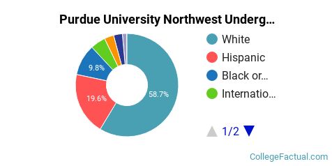 Purdue University Northwest Diversity: Racial Demographics & Other ...