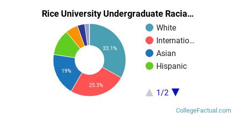 Rice University Diversity: Racial Demographics & Other Stats
