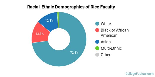 Rice University Diversity: Racial Demographics & Other Stats