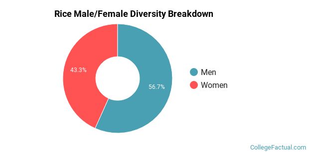 Rice University Diversity: Racial Demographics & Other Stats