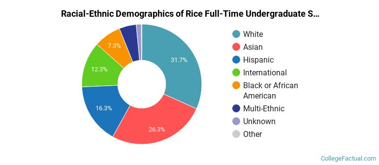 Rice University Diversity: Racial Demographics & Other Stats