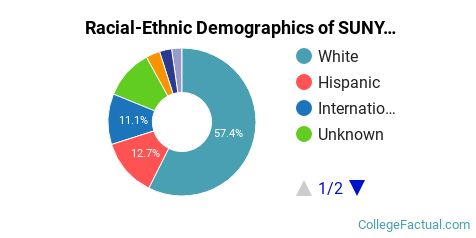SUNY New Paltz Diversity: Racial Demographics & Other Stats